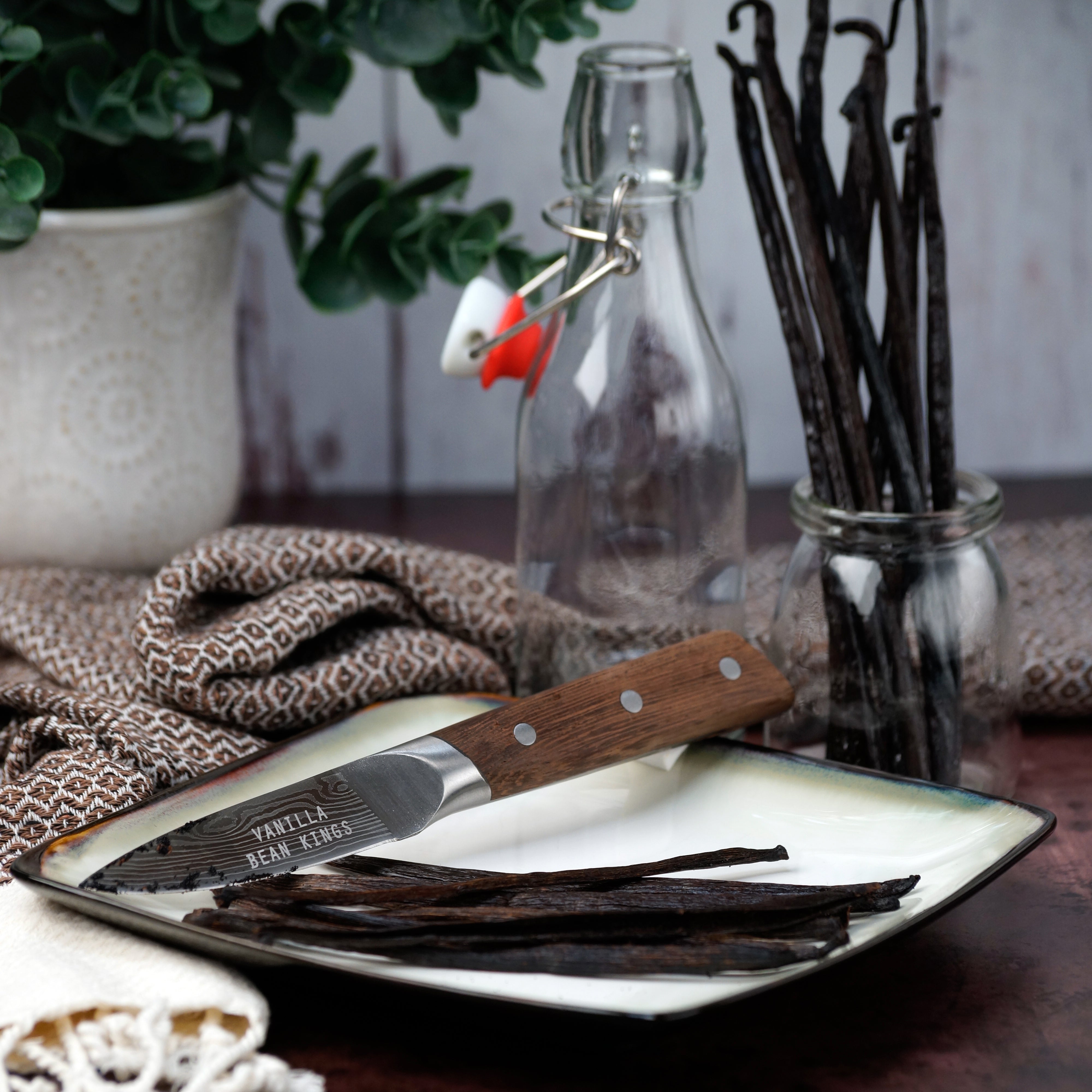 Alcohol Infusions: Creative Pairings for Every Vanilla Bean Variety ...