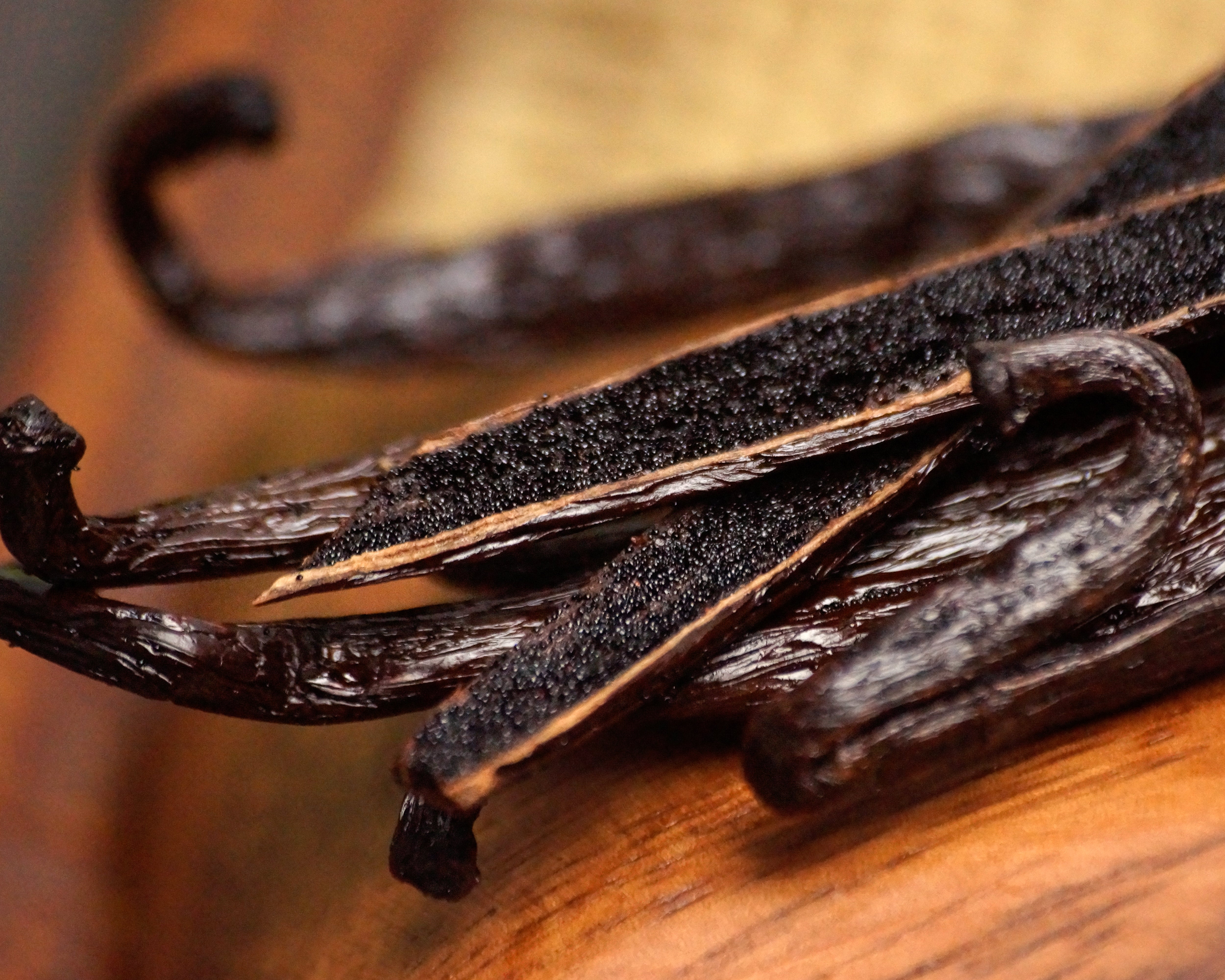 Why Are Vanilla Beans So Expensive? – Vanilla Bean Kings